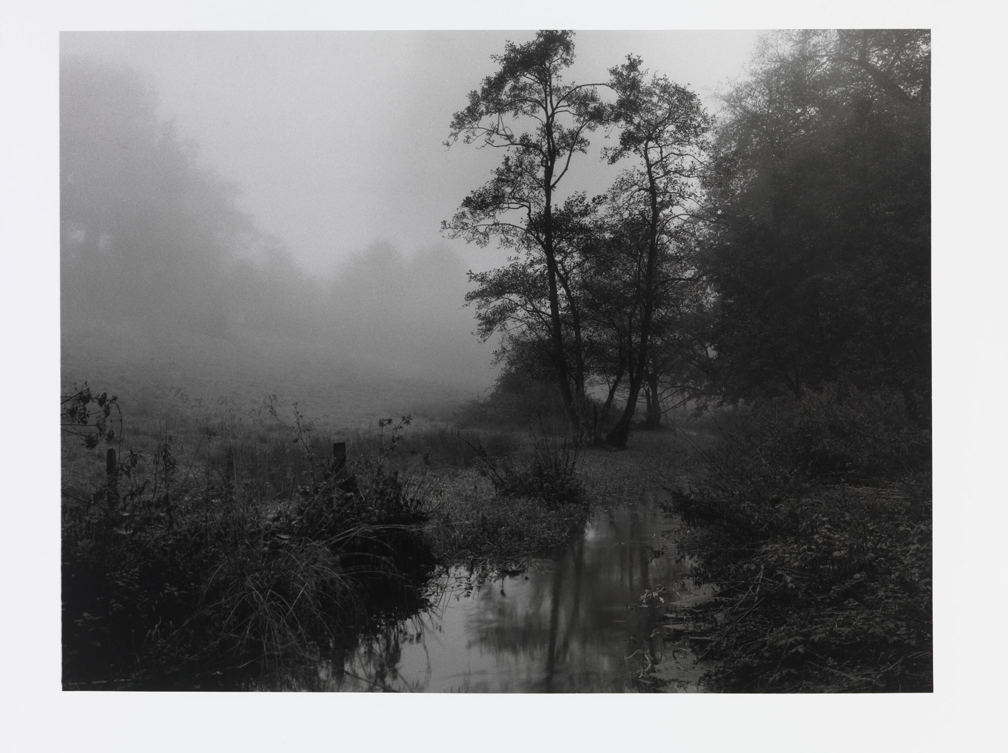 Don McCullin Biography, Artworks & Exhibitions | Ocula Artist