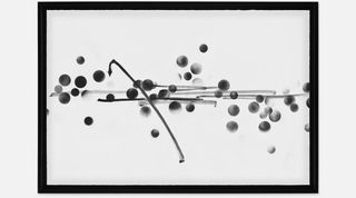 Adam Pendleton's Art For Sale, Exhibitions & Biography | Ocula Artist