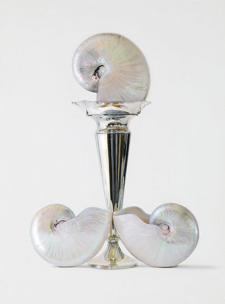 Michael Zavros Biography, Artworks & Exhibitions | Ocula Artist