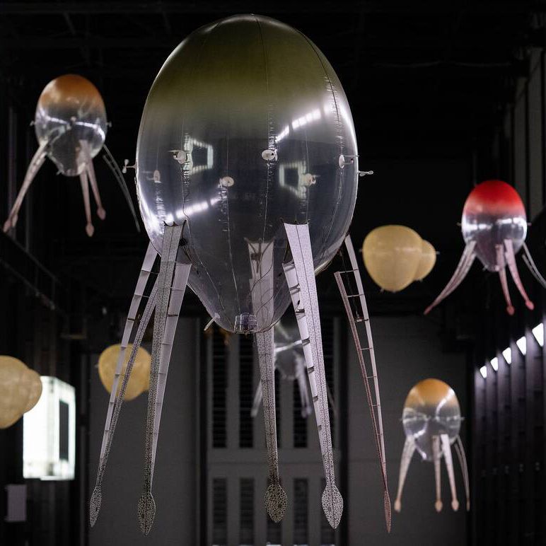 Anicka Yi's Art For Sale, Exhibitions & Biography | Ocula Artist