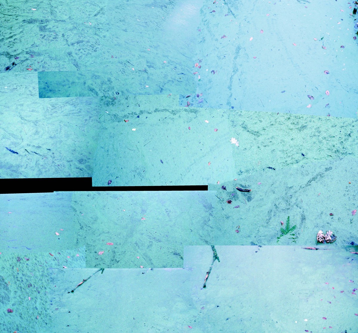 Samuel Hodge Biography, Artworks & Exhibitions | Ocula Artist