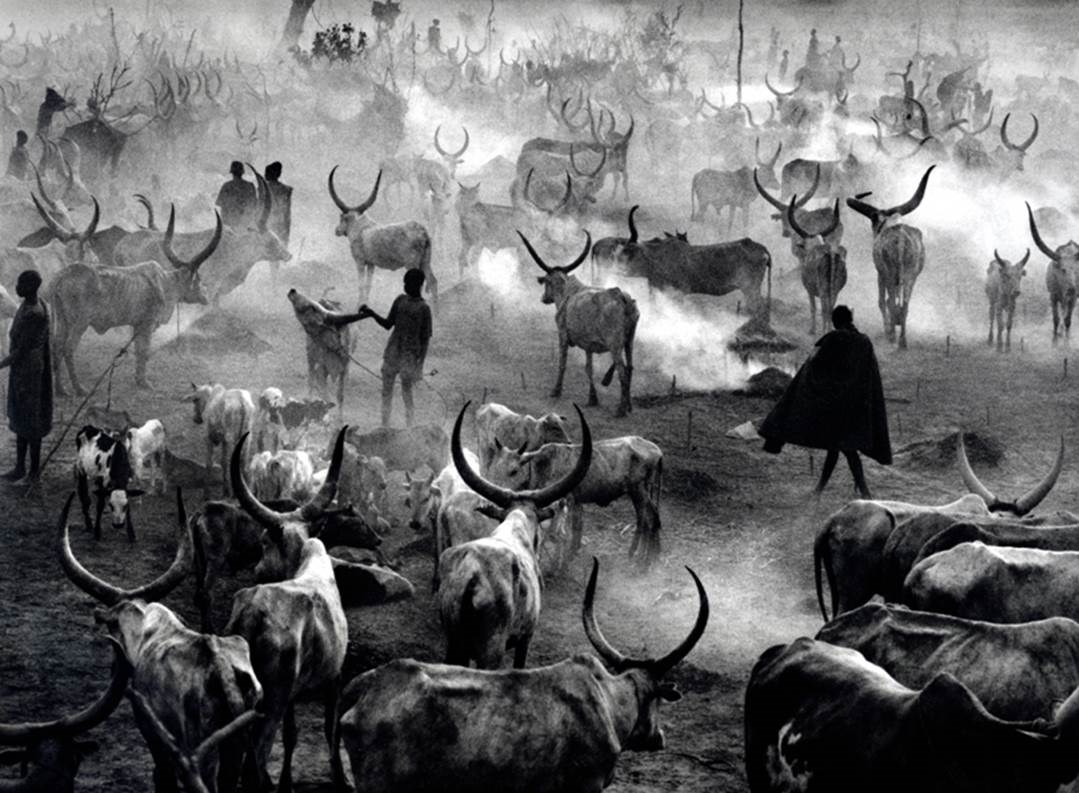 Dinka cattle camp of Amak. Southern Sudan, 2006 by Sebastião Salgado ...