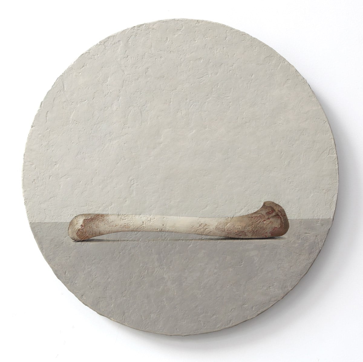Fan Shao's Art For Sale, Exhibitions & Biography | Ocula Artist