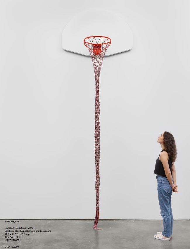 Hugh Hayden Biography, Artworks & Exhibitions | Ocula Artist
