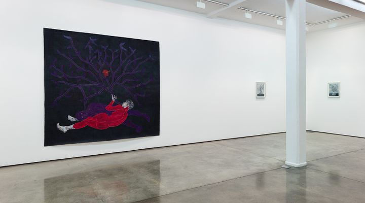 Felipe Baeza | Artist Profile, Exhibitions & Artworks | Ocula