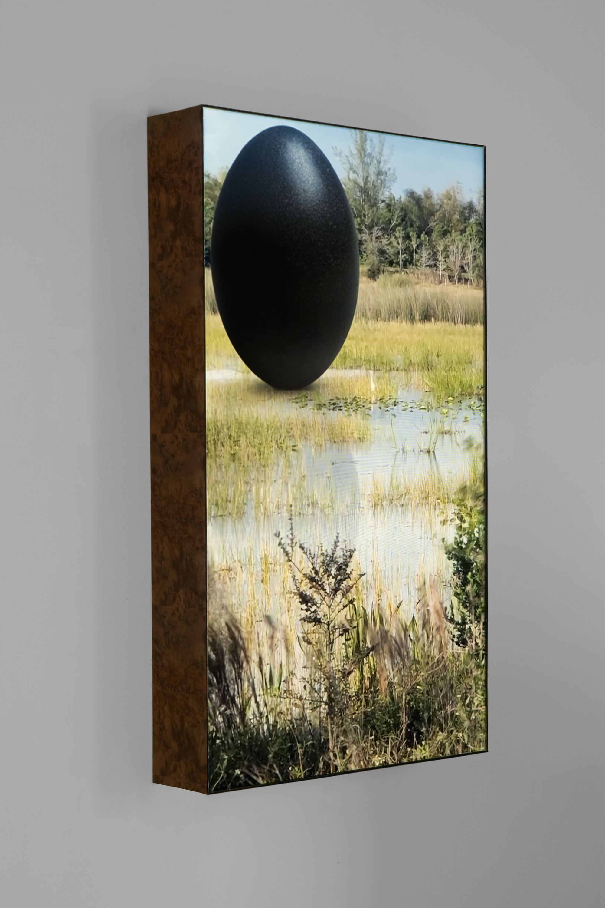 Rachel Rose | Artist Profile, Exhibitions & Artworks | Ocula
