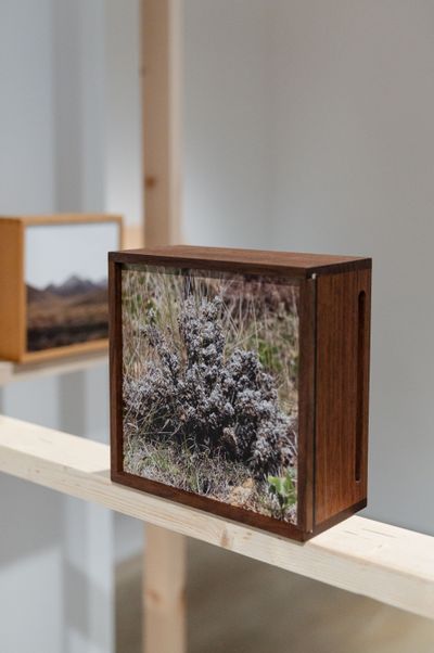 Kim Joon's Art For Sale, Exhibitions & Biography | Ocula Artist