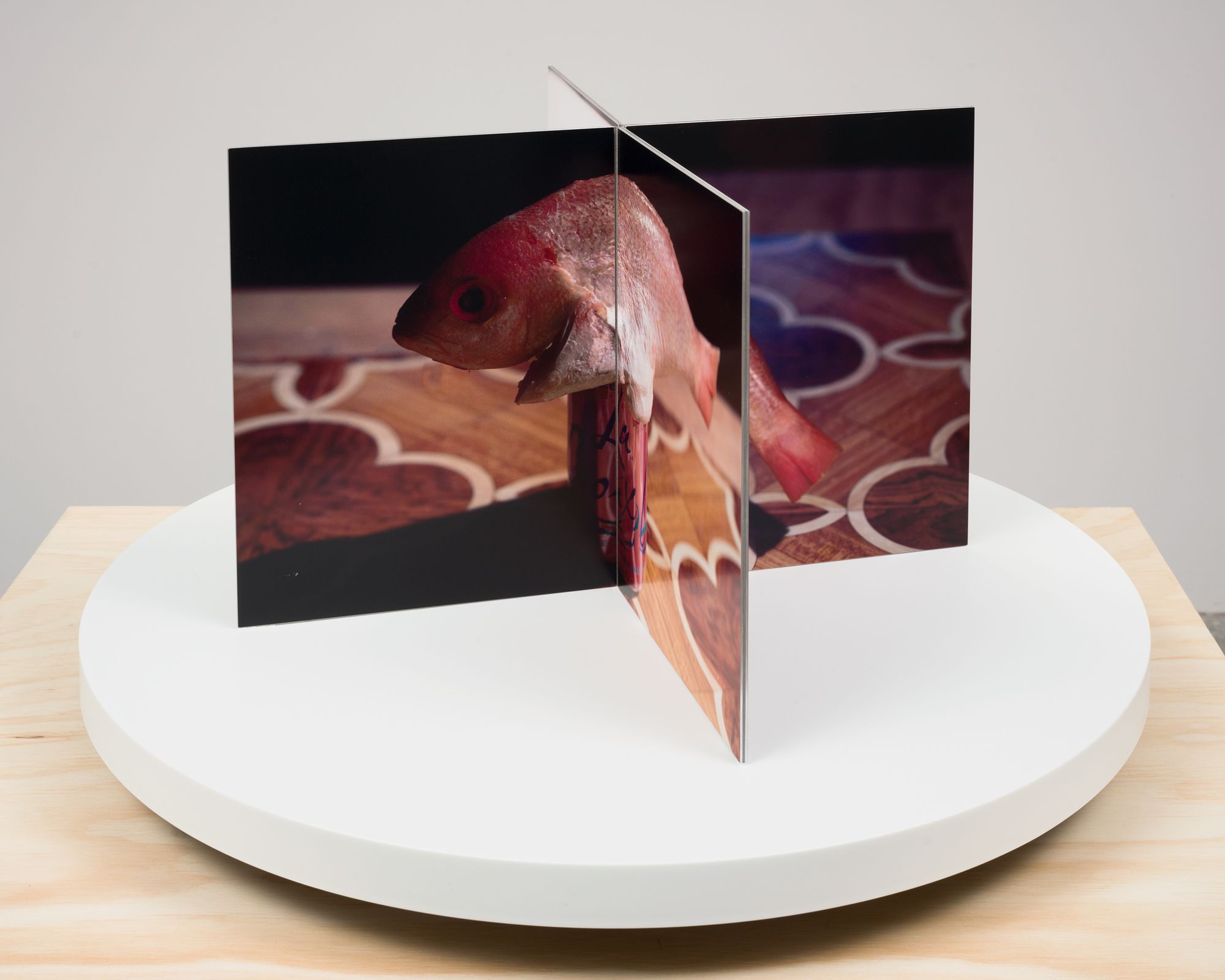 Lucas Blalock Biography, Artworks & Exhibitions | Ocula Artist