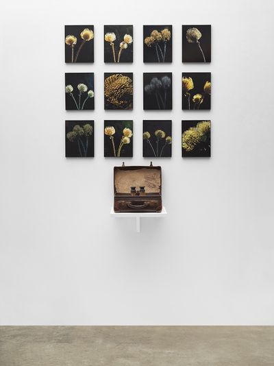 Michelle Stuart Artworks | Ocula Artist