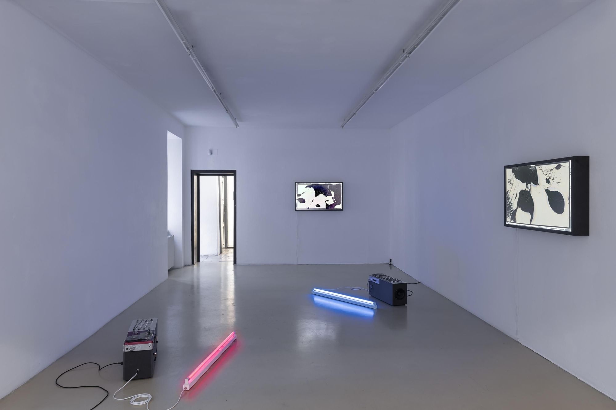 Bernd Oppl, 'Phantom Power' at Krinzinger Schottenfeld, Vienna, Austria ...