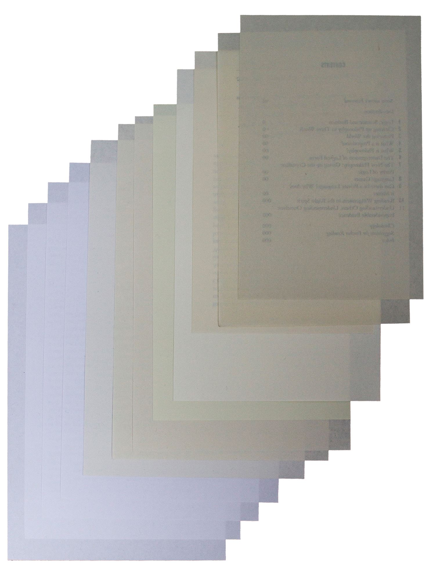 Ho Sin Tung Biography, Artworks & Exhibitions | Ocula Artist