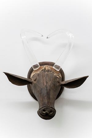 Sudarshan Shetty | Artist Profile, Exhibitions & Artworks | Ocula