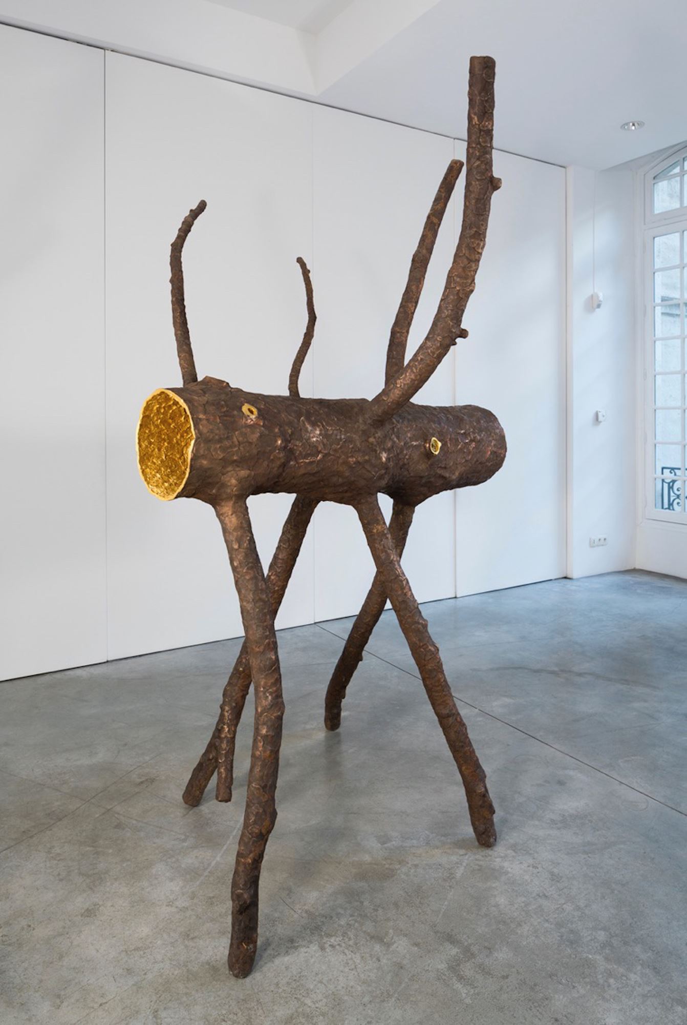 Giuseppe Penone Biography, Artworks & Exhibitions | Ocula Artist