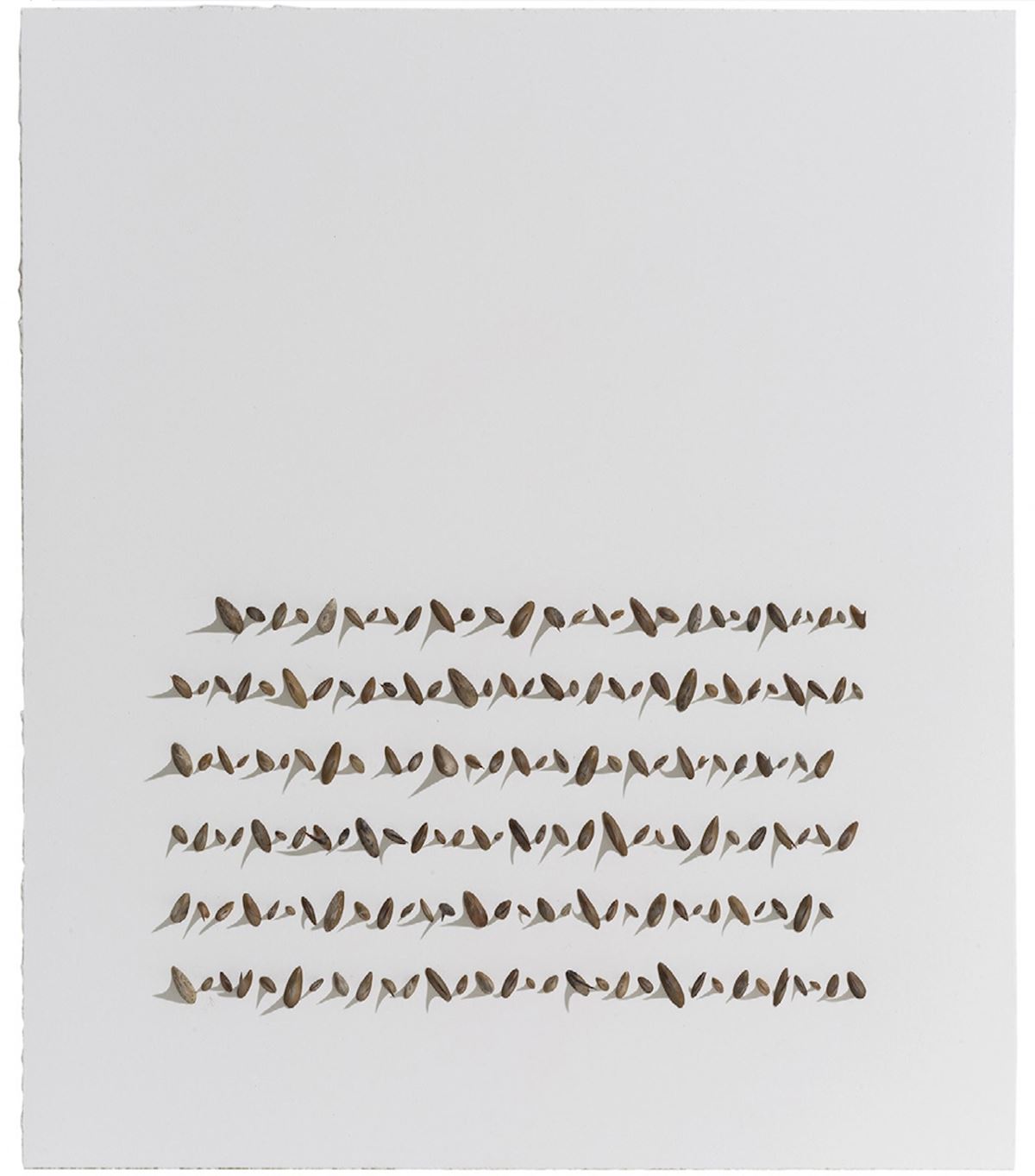 Cui Fei Biography, Artworks & Exhibitions | Ocula Artist