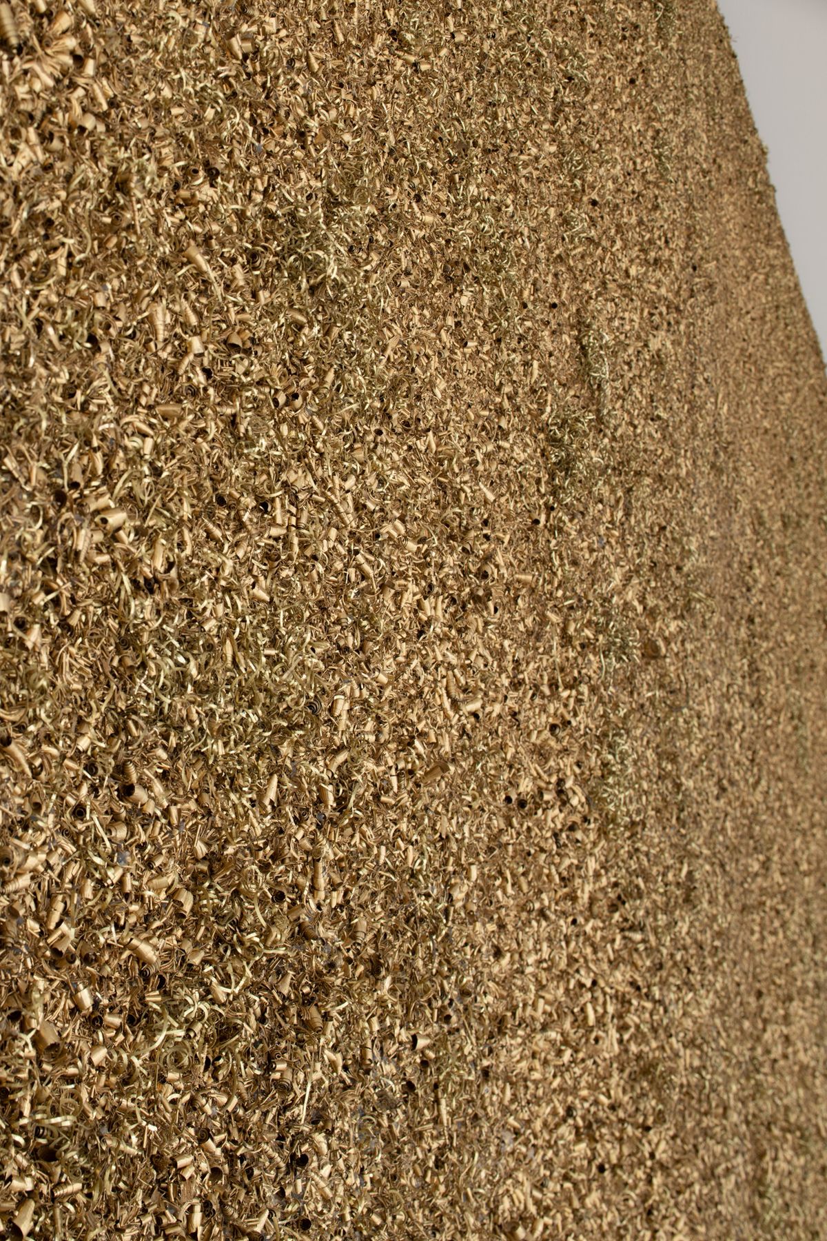 Shuta Hasunuma Biography, Artworks & Exhibitions | Ocula Artist