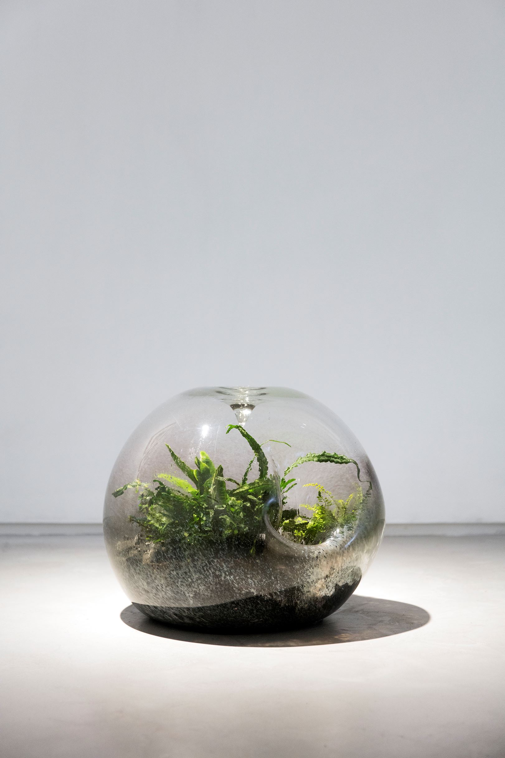 Jamie North Biography, Artworks & Exhibitions | Ocula Artist