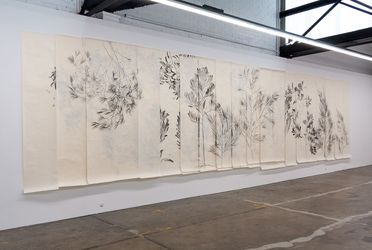 Simryn Gill Biography, Artworks & Exhibitions | Ocula Artist