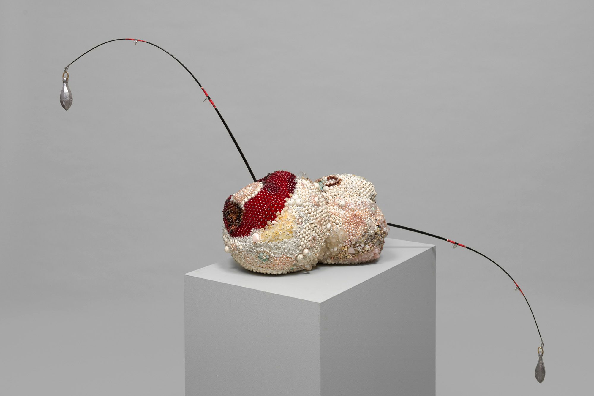 Kathleen Ryan Biography, Artworks & Exhibitions | Ocula Artist