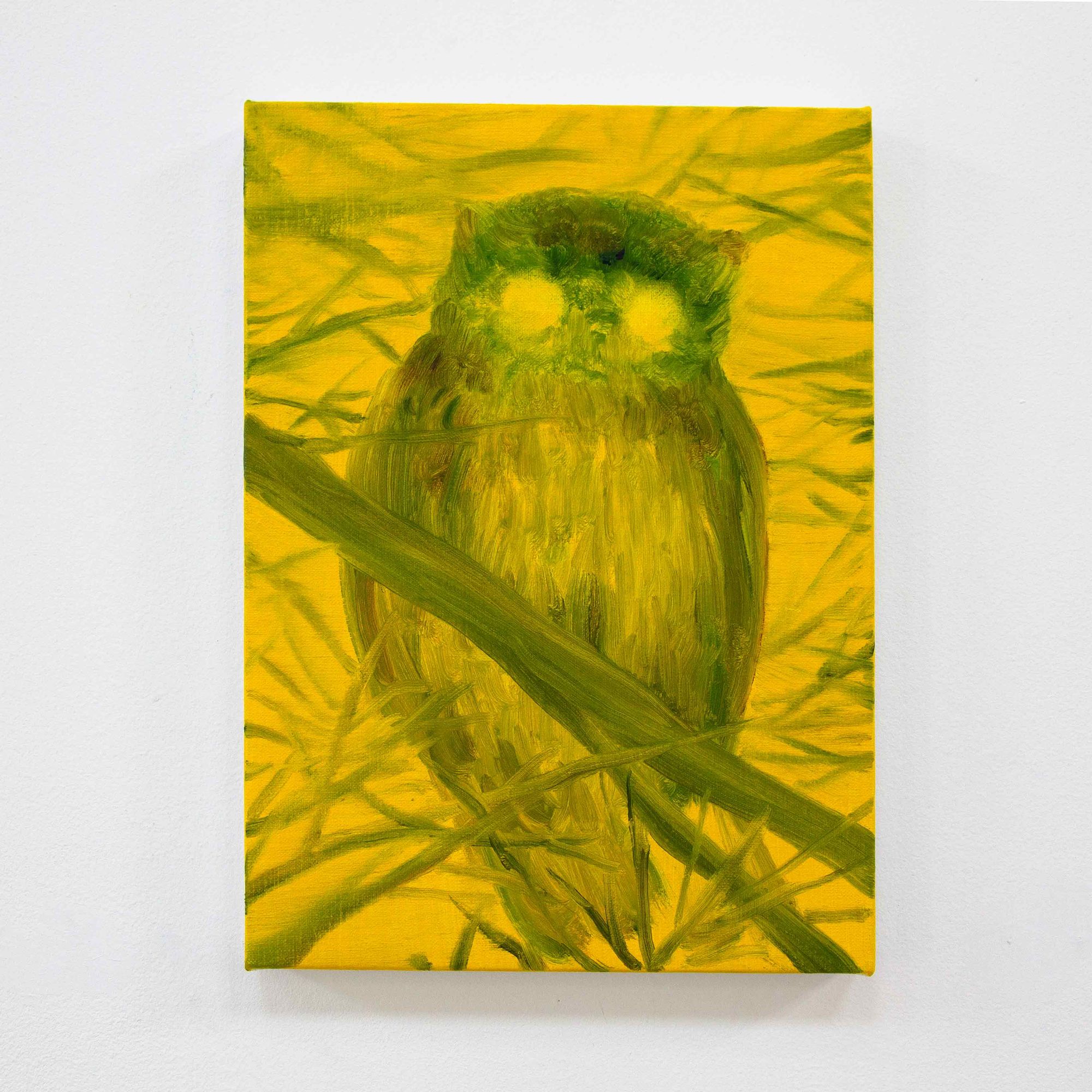 Xie Lei Biography, Artworks & Exhibitions | Ocula Artist