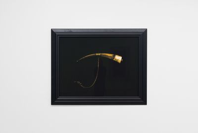 Fiona Pardington Artworks | Ocula Artist