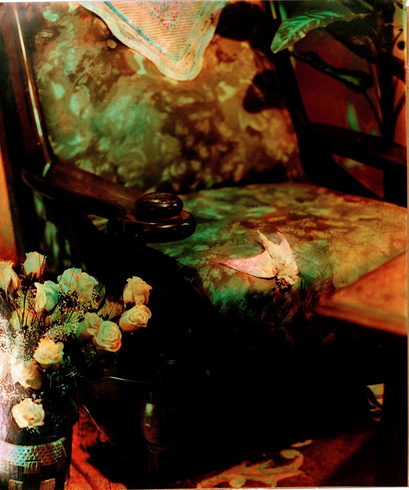 Hong Lei Biography, Artworks & Exhibitions | Ocula Artist