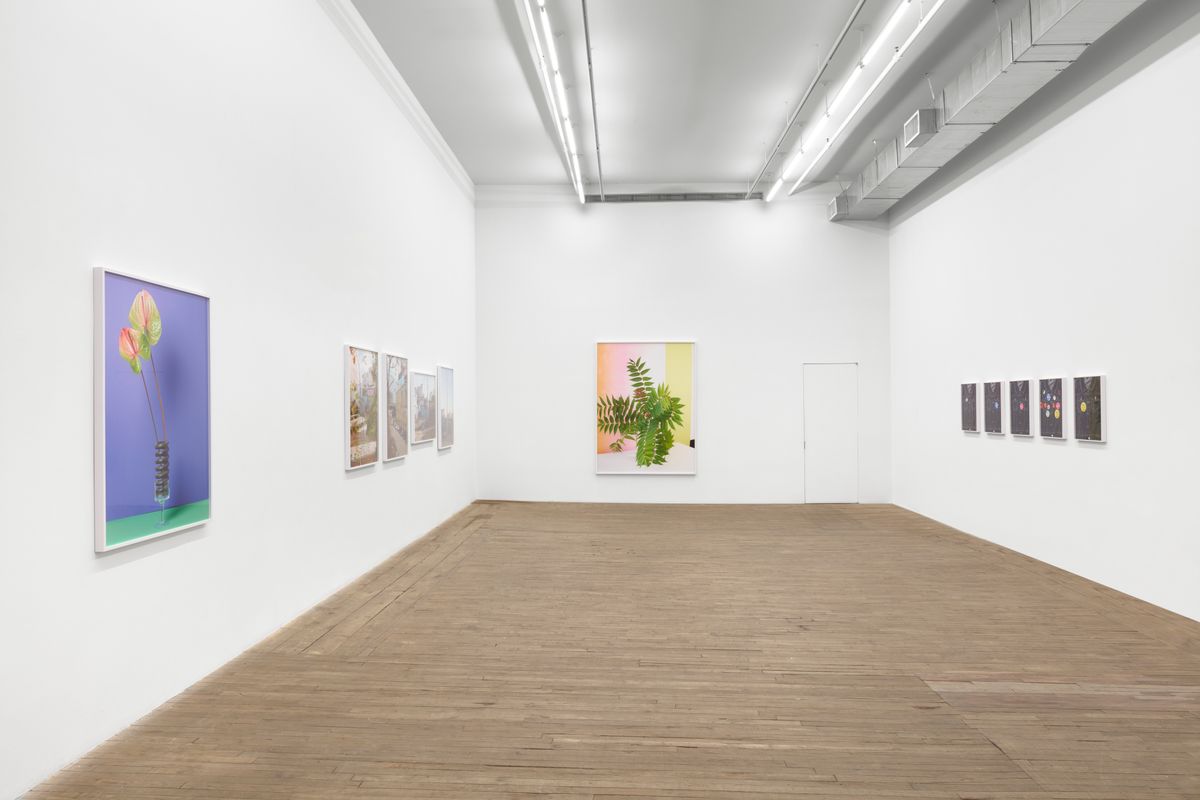 Annette Kelm, 'Present Past Perfect' at Andrew Kreps Gallery, 55 Walker ...