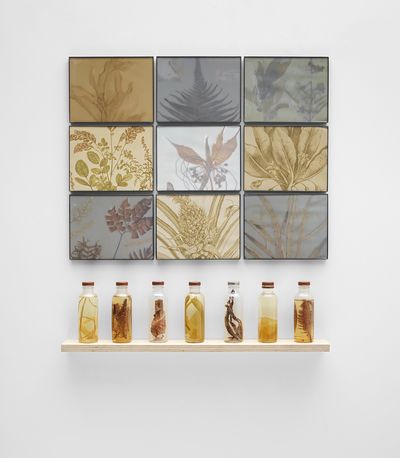 Michelle Stuart Artworks | Ocula Artist
