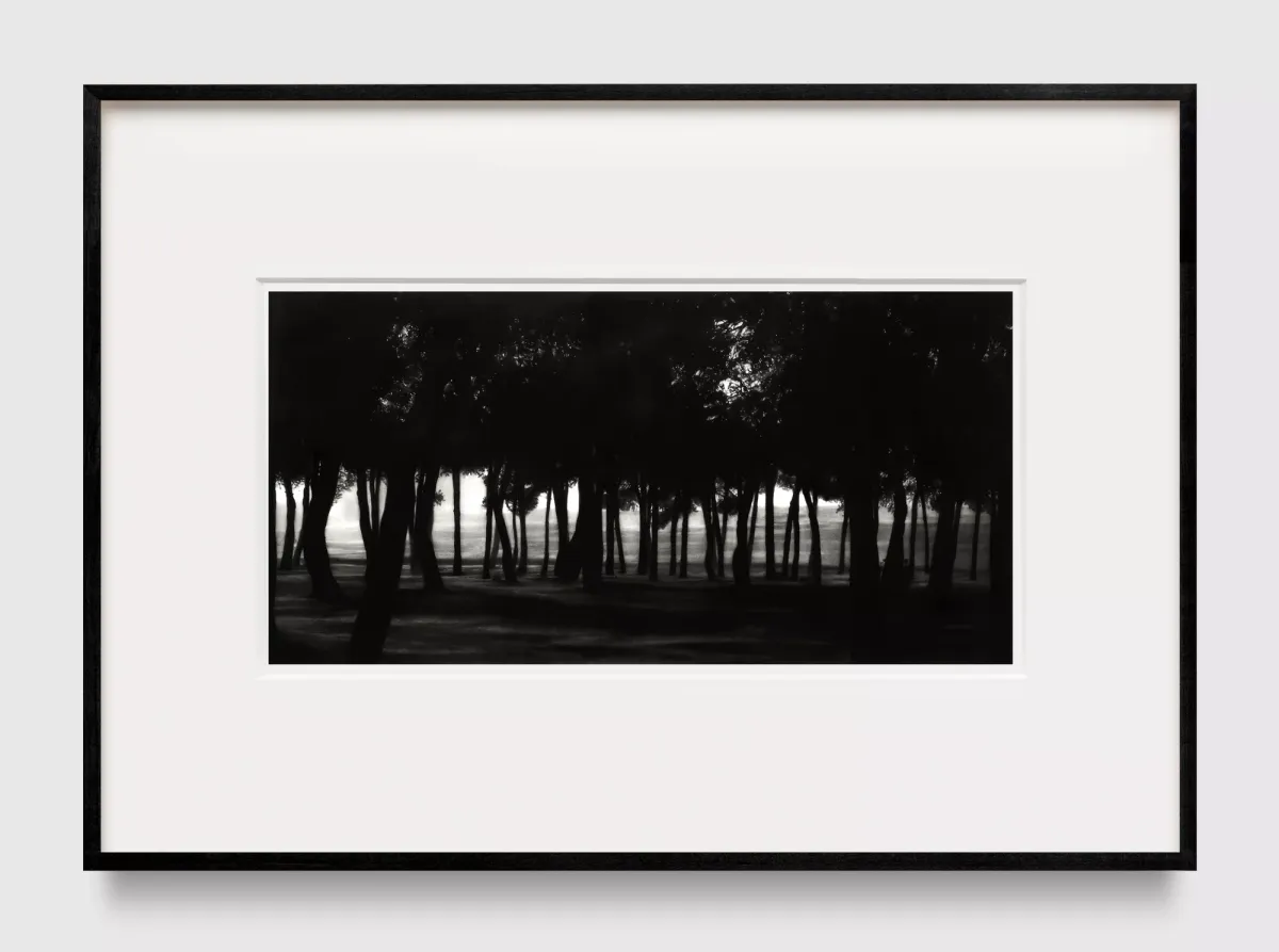 Study of Brooklyn Forest, 2025 by Robert Longo | Ocula
