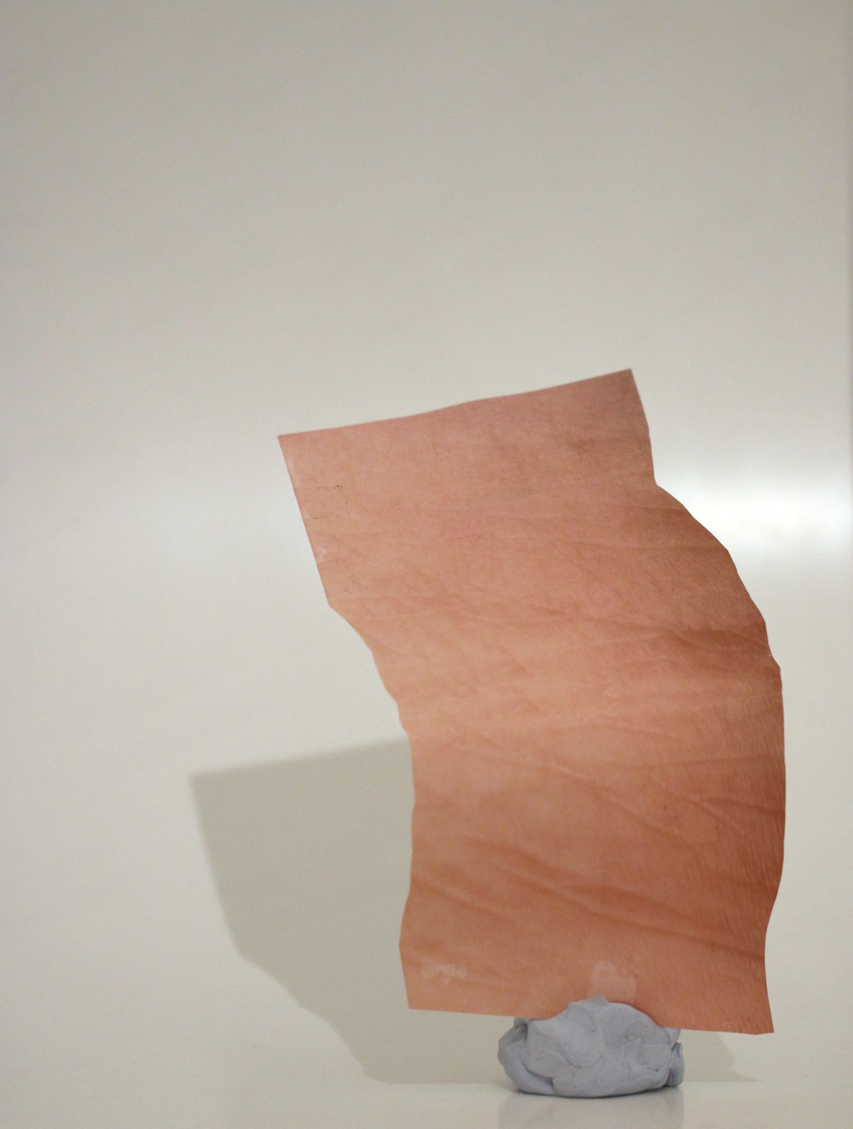 Tully Arnot Biography, Artworks & Exhibitions | Ocula Artist