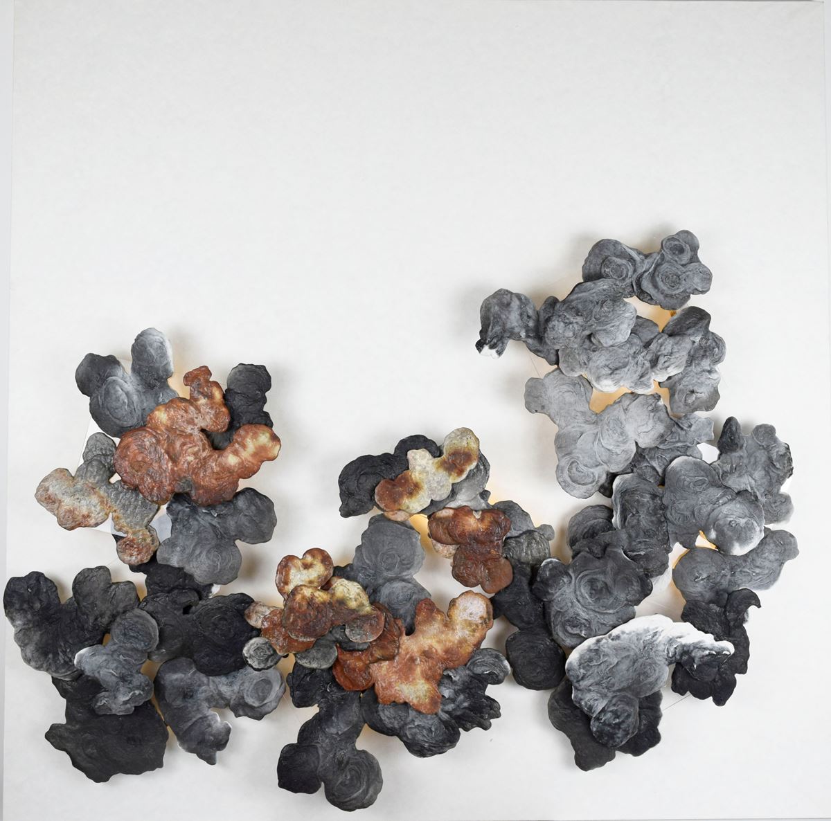 zhao Meng Biography, Artworks & Exhibitions | Ocula Artist