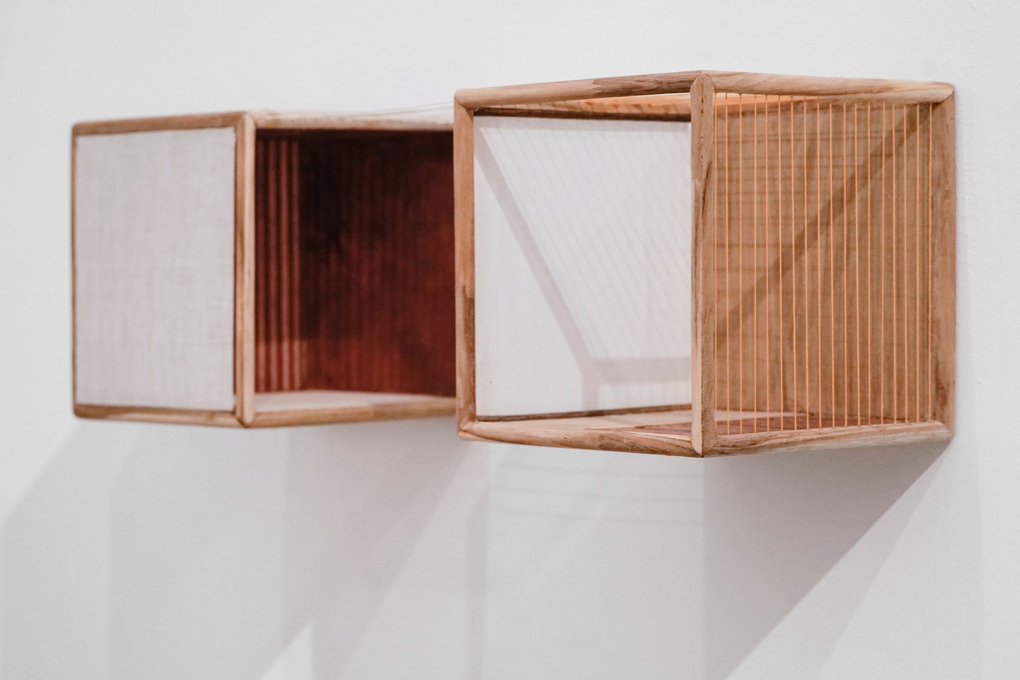 Astha Butail Biography, Artworks & Exhibitions | Ocula Artist