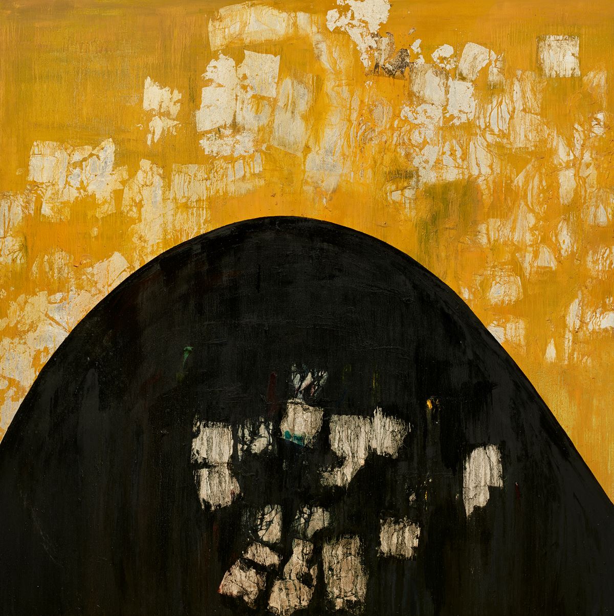 Nandipha Mntambo's Art For Sale, Exhibitions & Biography | Ocula Artist