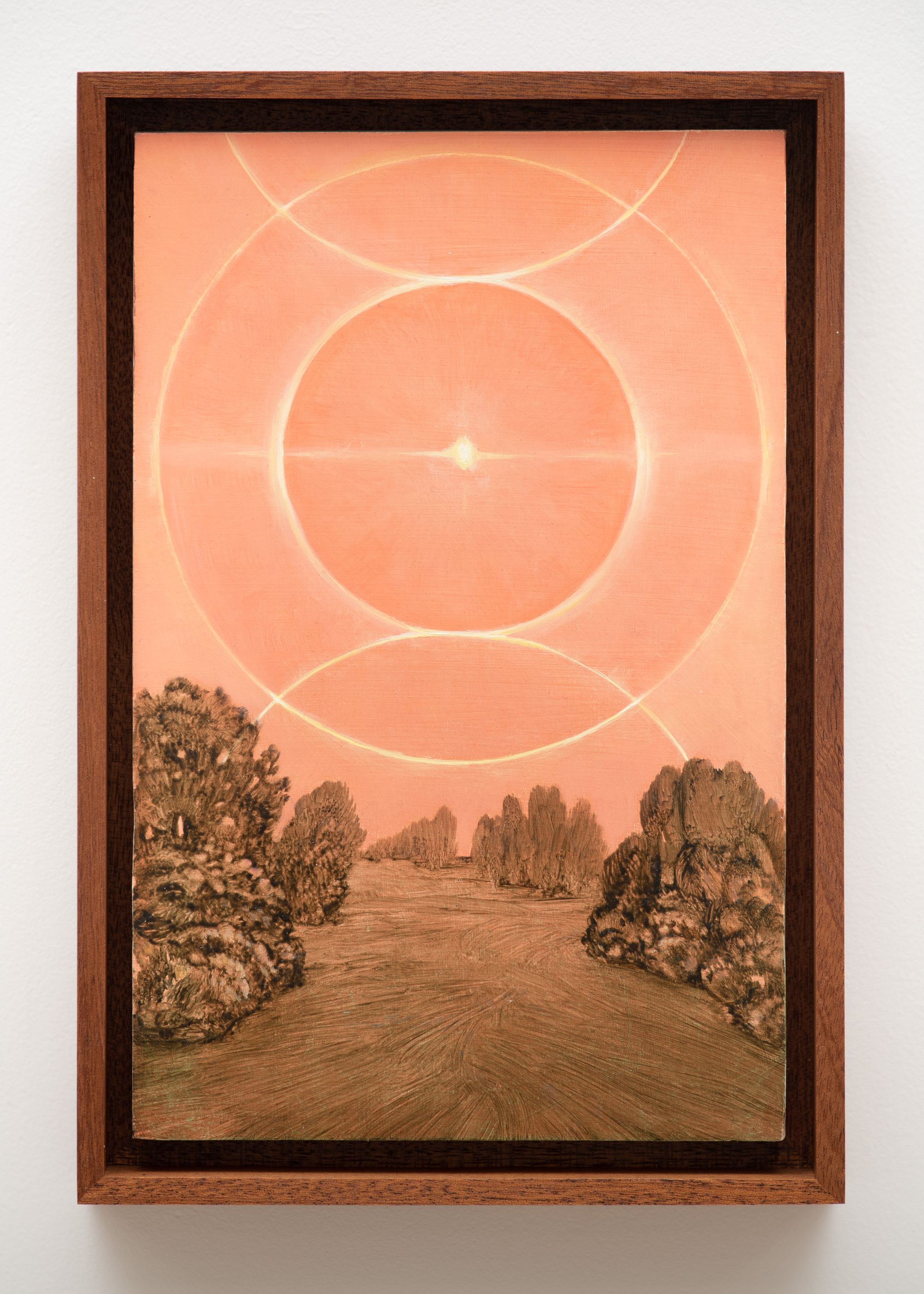 Angela Lane Biography, Artworks & Exhibitions | Ocula Artist