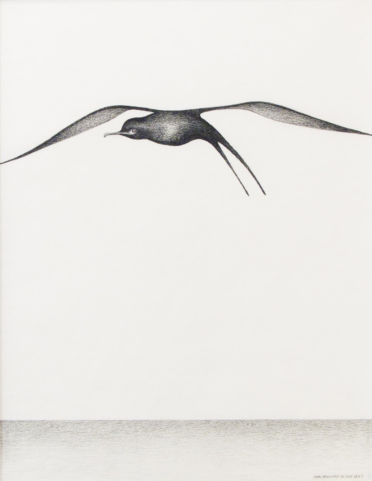 Don Binney's Art For Sale, Exhibitions & Biography | Ocula Artist