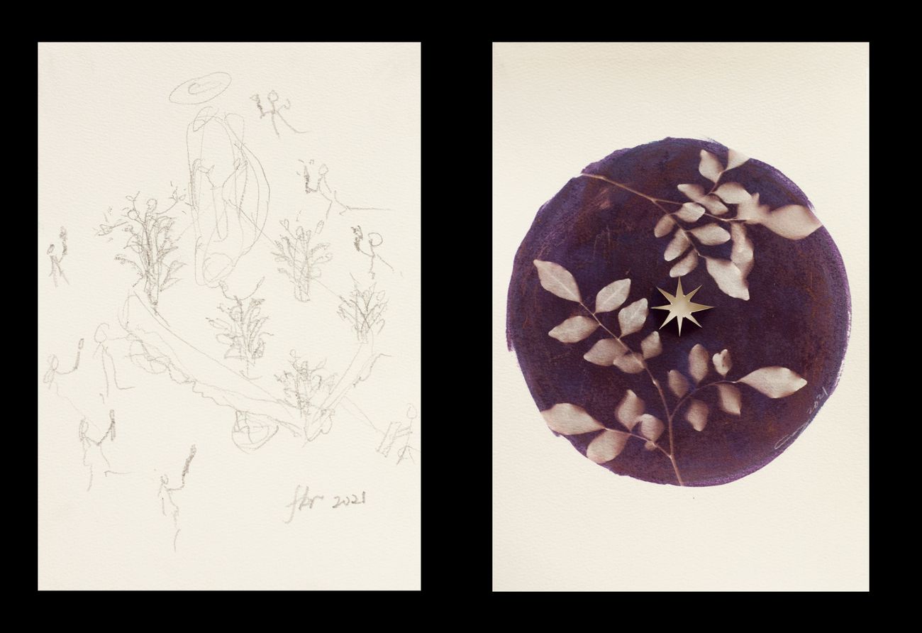 Notes on Murraya paniculata (An Array for the Saints), 2021 by Issay ...