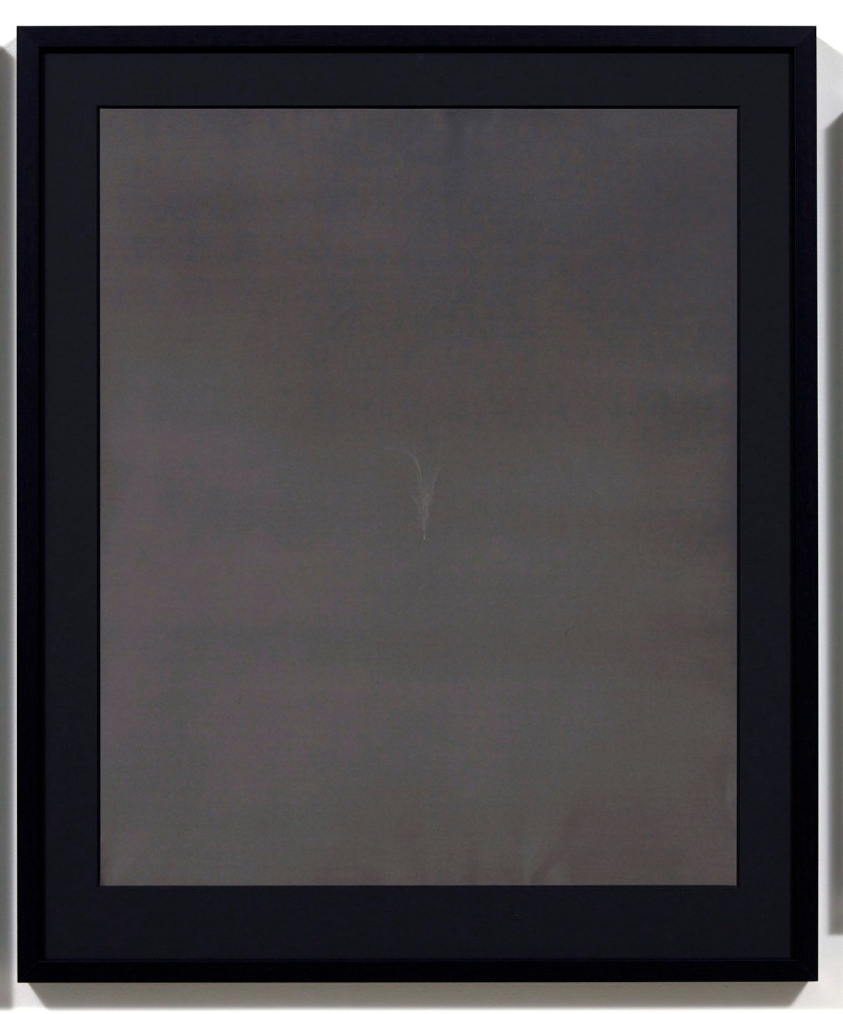 Areta Wilkinson & Mark Adams' Art For Sale, Exhibitions & Biography ...