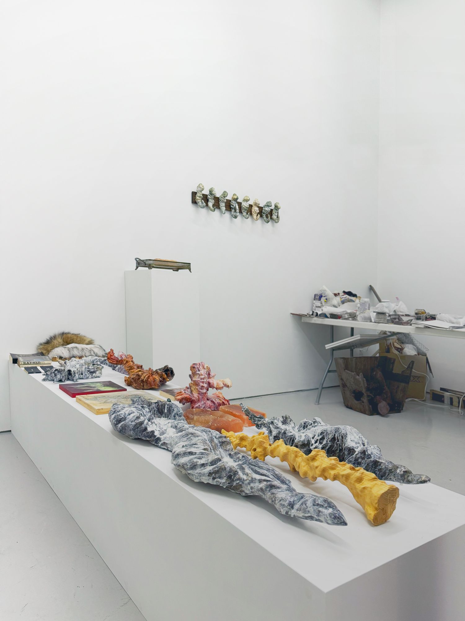 'At-Will Adaptation: The Exhibition' at Eli Klein Gallery, New York ...