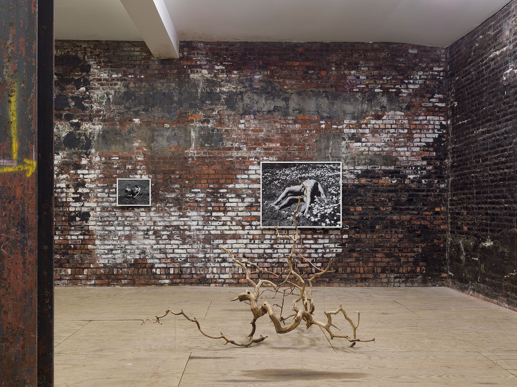 Of This Earth: Dan Colen Farms Meaning in the Hudson Valley | Ocula