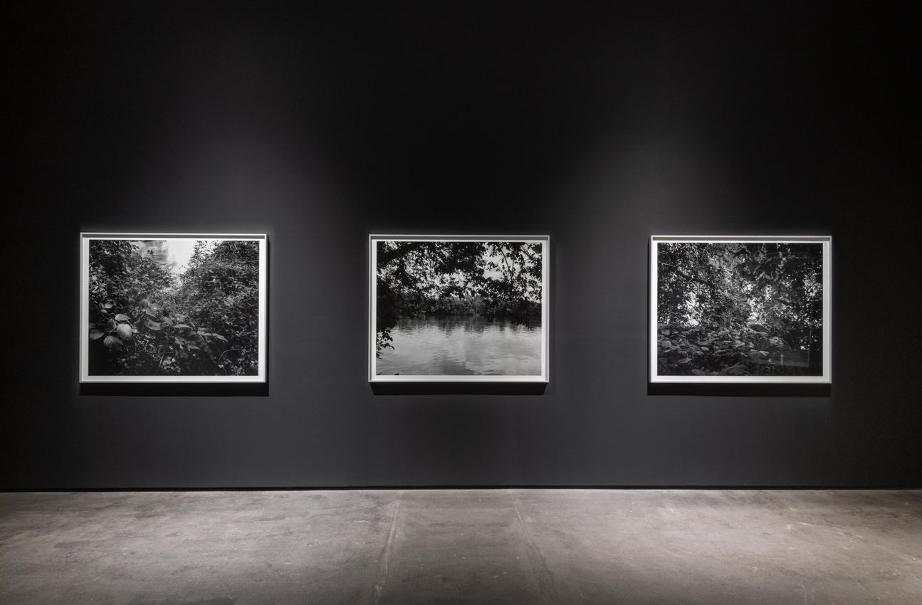 Dawoud Bey, 'Stony The Road' at Sean Kelly, New York, United States on ...