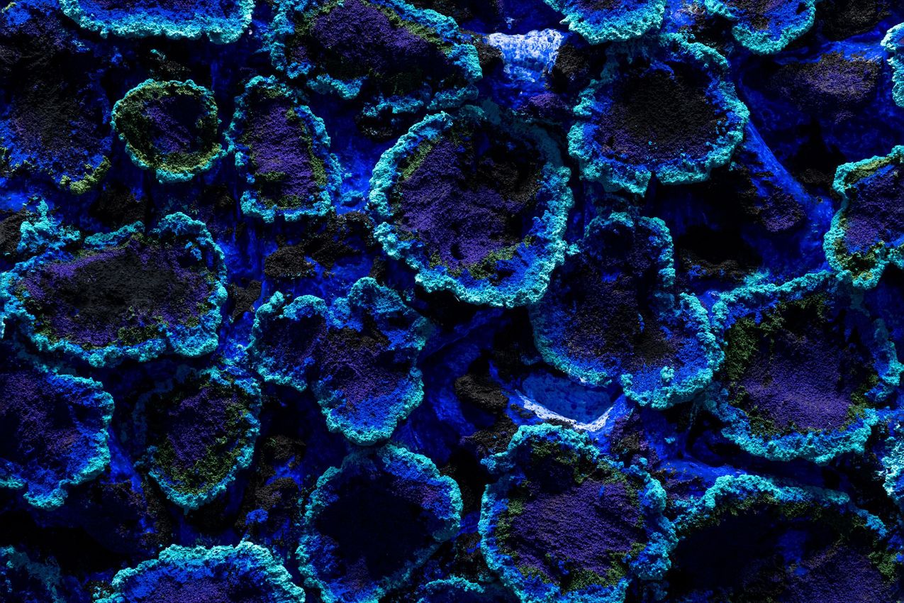 Nabil Nahas Will Bring His ‘Fractal Forms’ to Lebanon’s Pavilion at ...