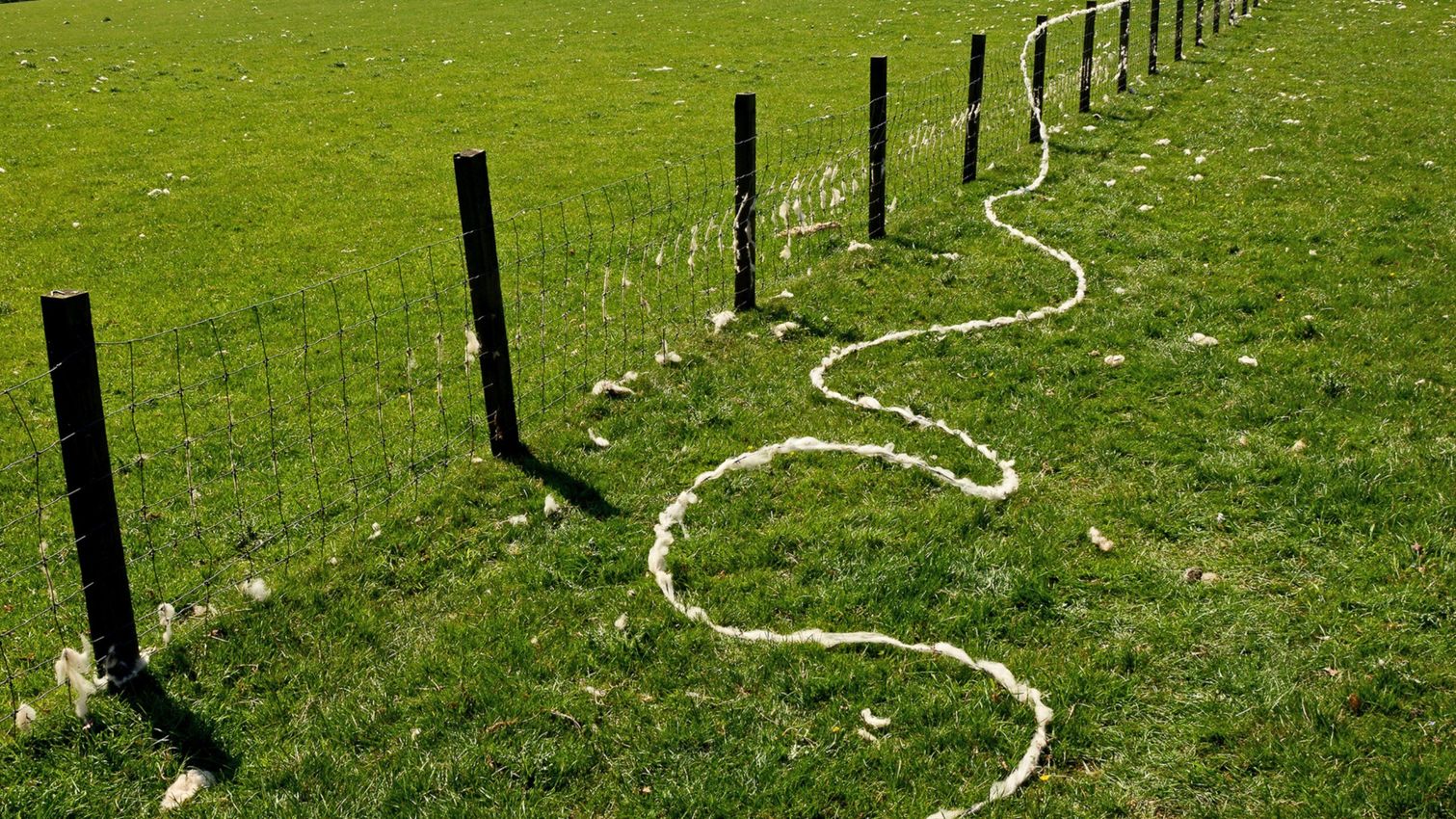 Andy Goldsworthy's Art For Sale, Exhibitions & Biography | Ocula Artist