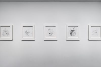 Rachel Rose's Art For Sale, Exhibitions & Biography | Ocula Artist