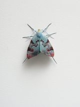 Elizabeth Thomson's Art For Sale, Exhibitions & Biography | Ocula Artist
