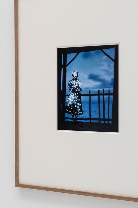 Amy Friend's Art For Sale, Exhibitions & Biography | Ocula Artist