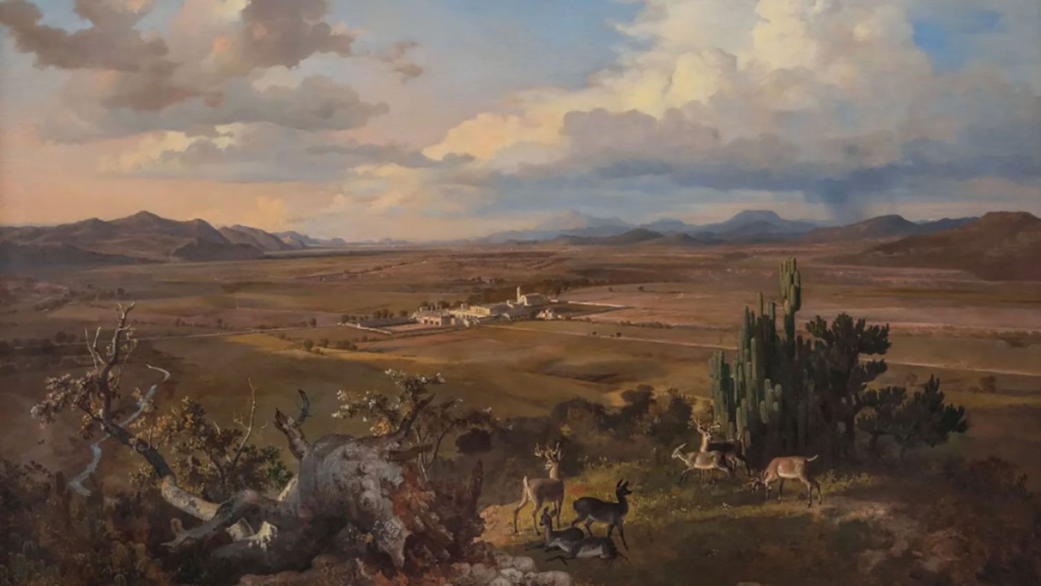 'The Garden of Velasco' at Museo Kaluz, Mexico City, Mexico on 26 Oct ...