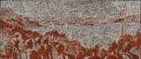 Daniel Boyd's Art For Sale, Exhibitions & Biography | Ocula Artist