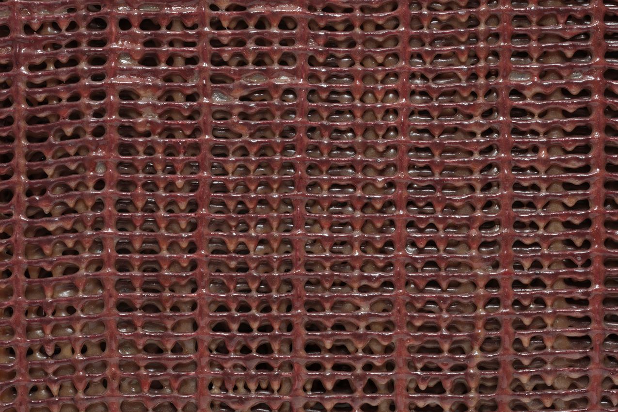 Delcy Morelos' Art For Sale, Exhibitions & Biography | Ocula Artist