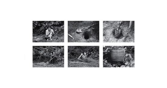 Rice/Tree/Burial: Burial of the Time Capsule, 1979/2020 by Agnes Denes ...