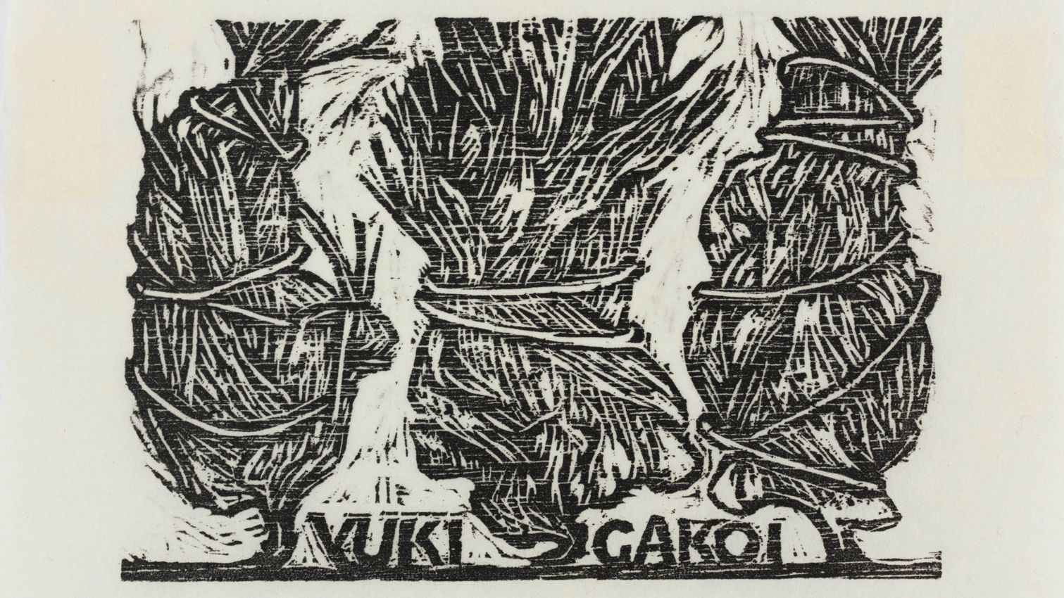 Robin White's Art For Sale, Exhibitions & Biography | Ocula Artist