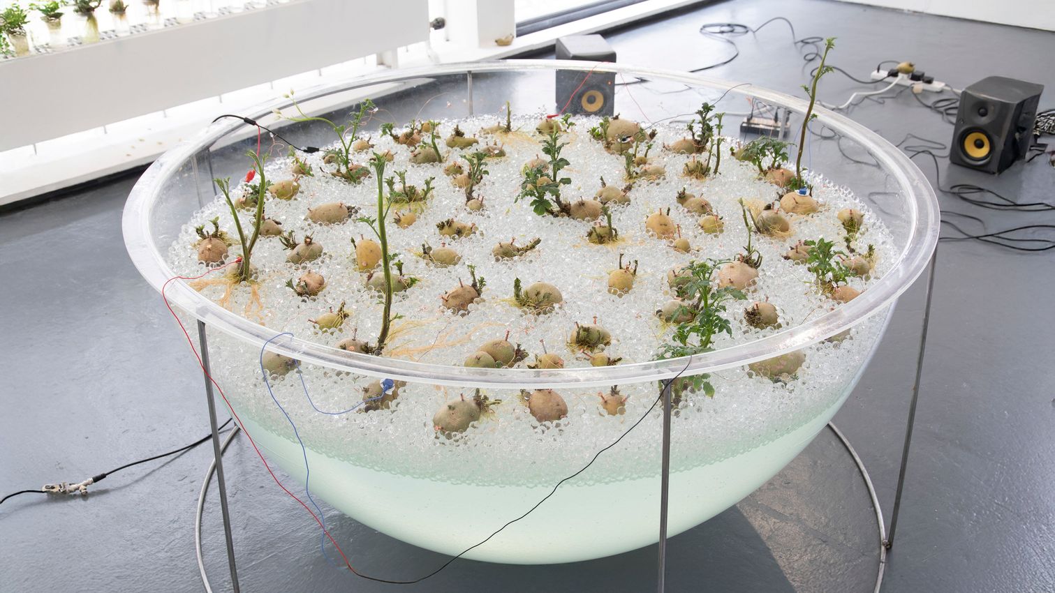 Cherry Song's Art For Sale, Exhibitions & Biography | Ocula Artist